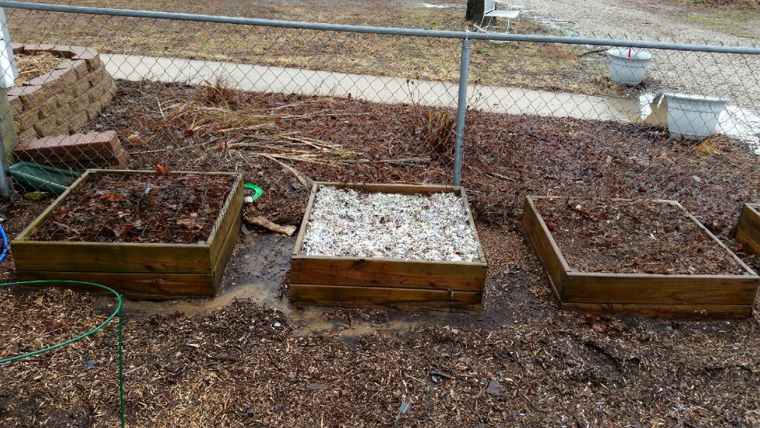 Undercover Gardening: Mulching with Shredded Paper – Men Of The West