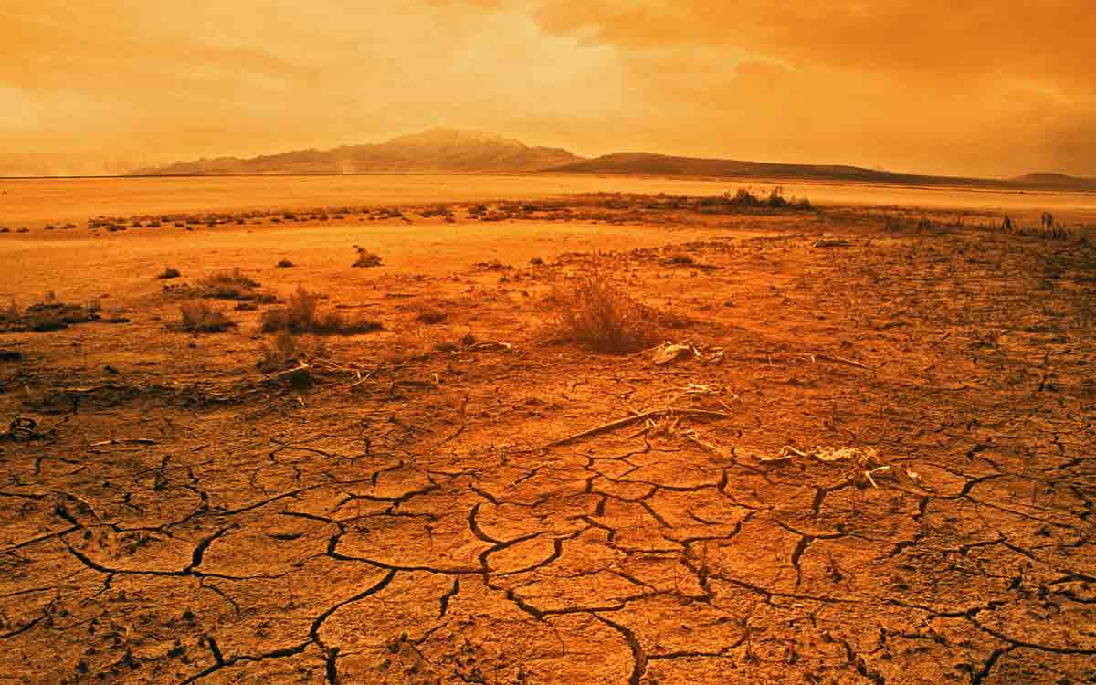 Podcast The Wasteland Men Of The West Podcast The Wasteland Men Of The West